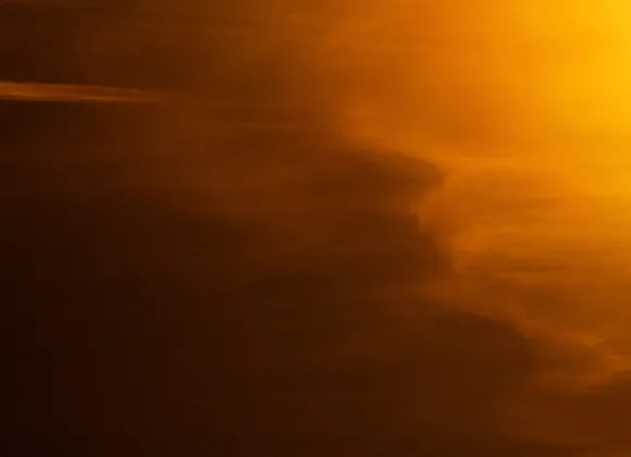 Timberol (Symrise)-Timbertouch – Kendi Parfümünü Yap